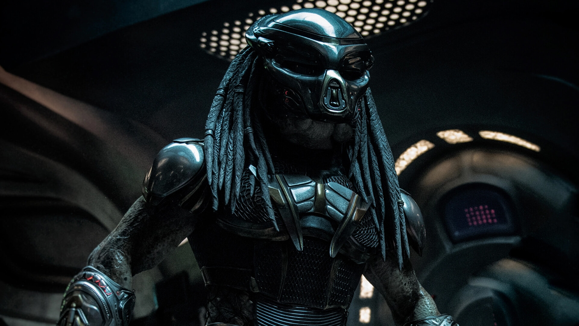 Predator 5 : de nouveaux détails sur le reboot de Disney